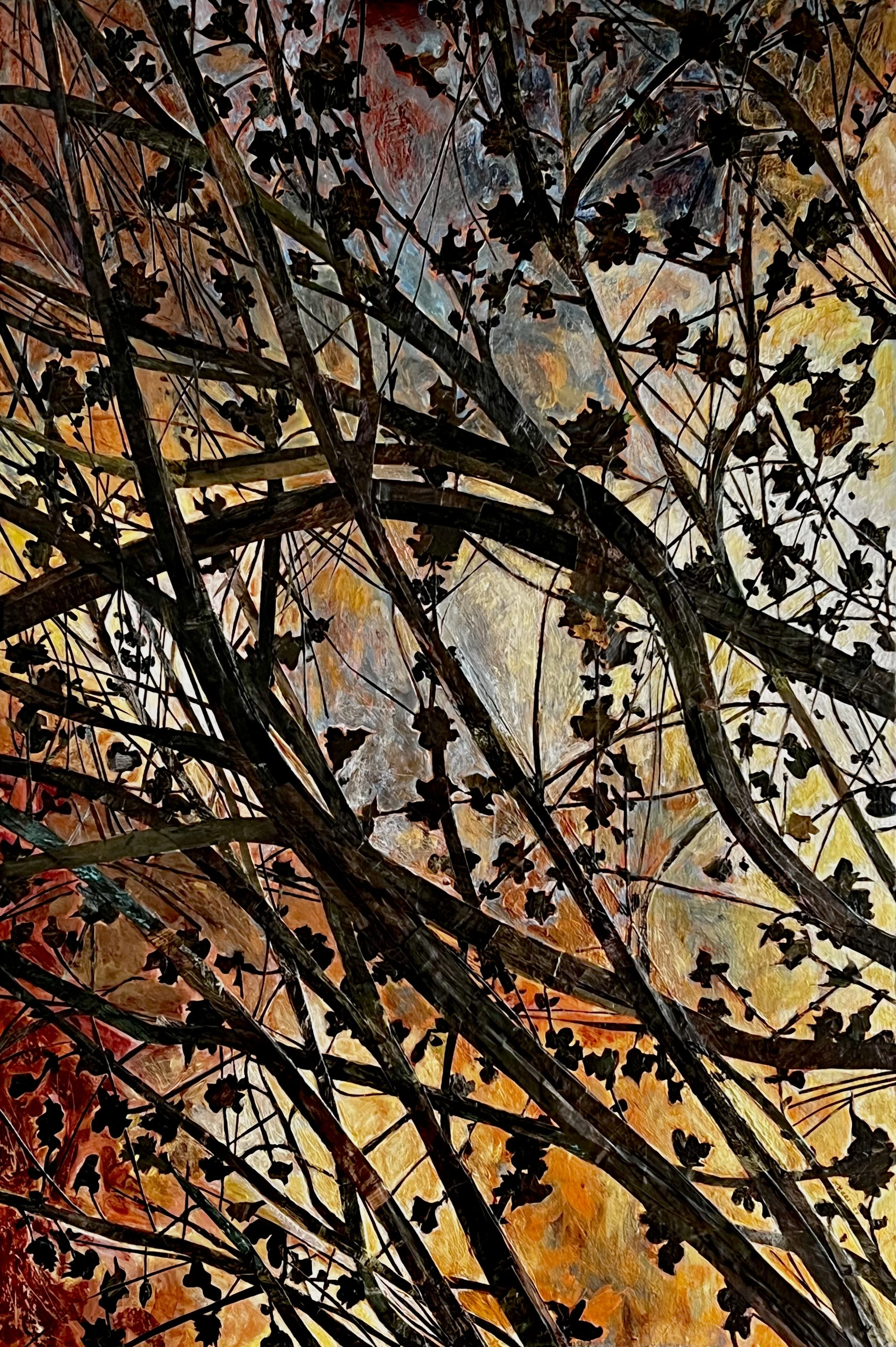 Julie C Baer