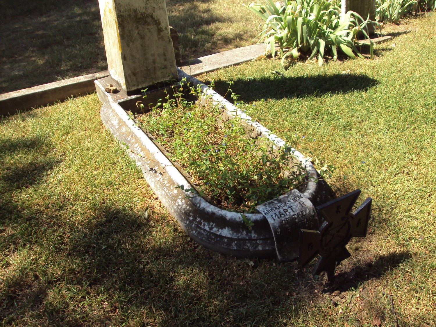 The Unfortunate Case of David O. Dodd: "Arkansas' Boy Martyr" or Fool ...