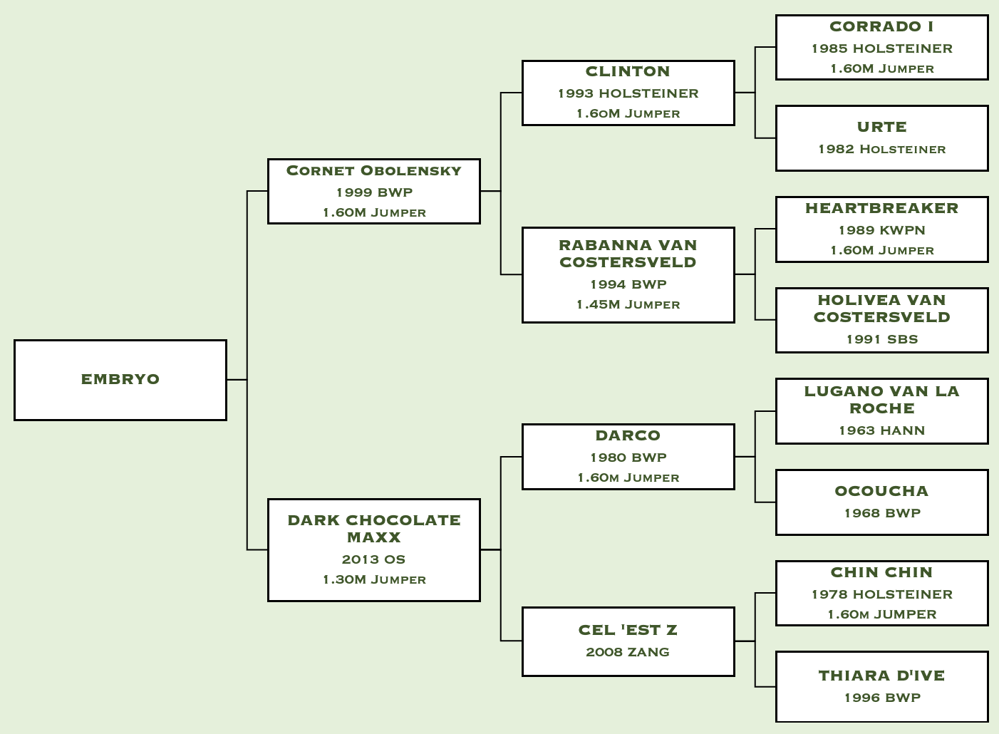 Codarco DKS Z (Cornet Obolensky-Darco-Chin Chin) — Dejan Krunic Sporthorses