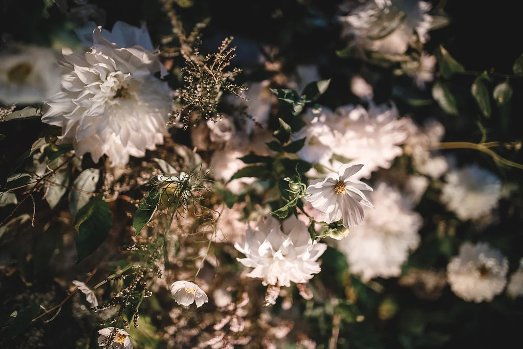 Fall — Steelcut Flower Co.