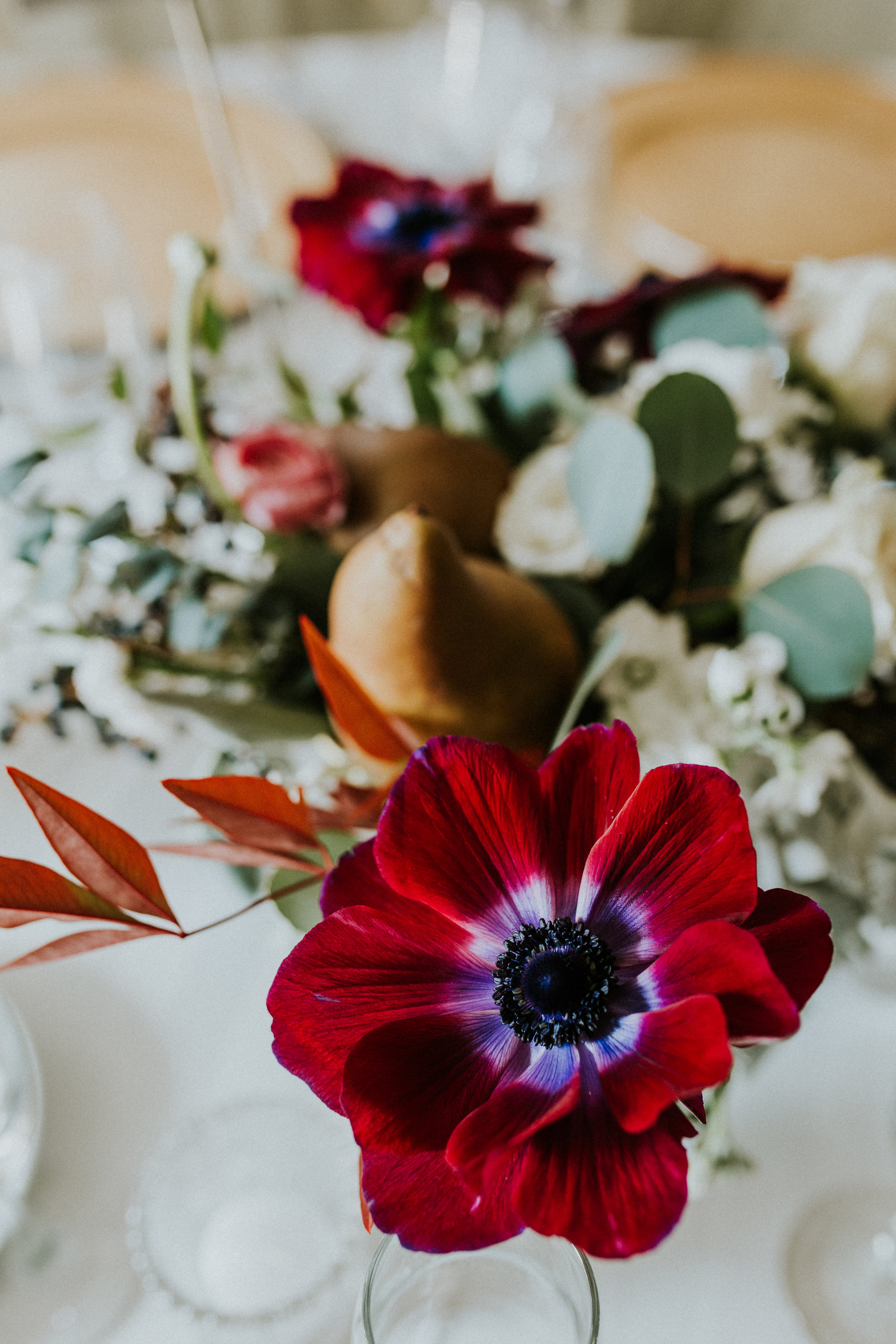 Winter — Steelcut Flower Co.