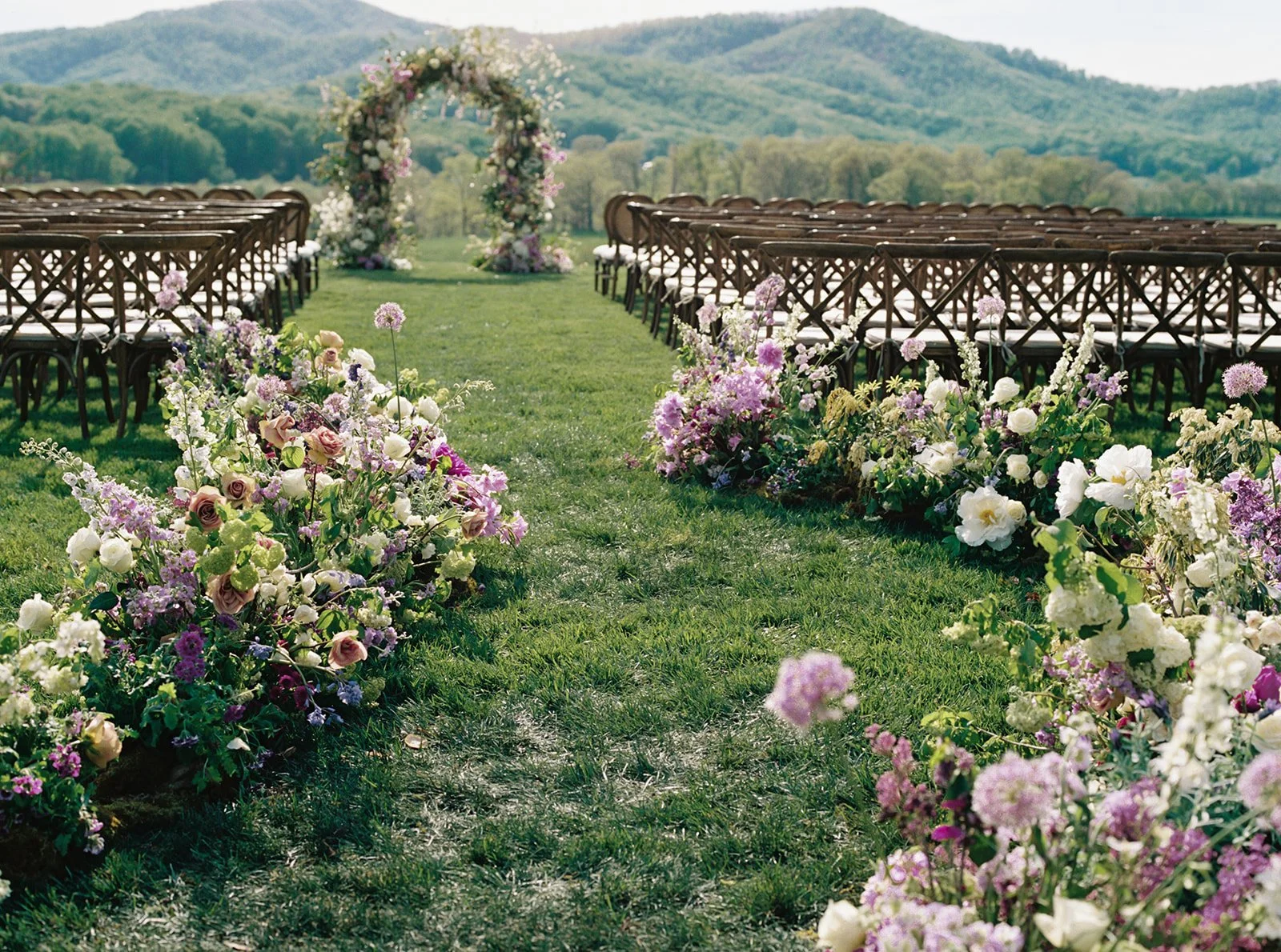 Spring — Steelcut Flower Co.