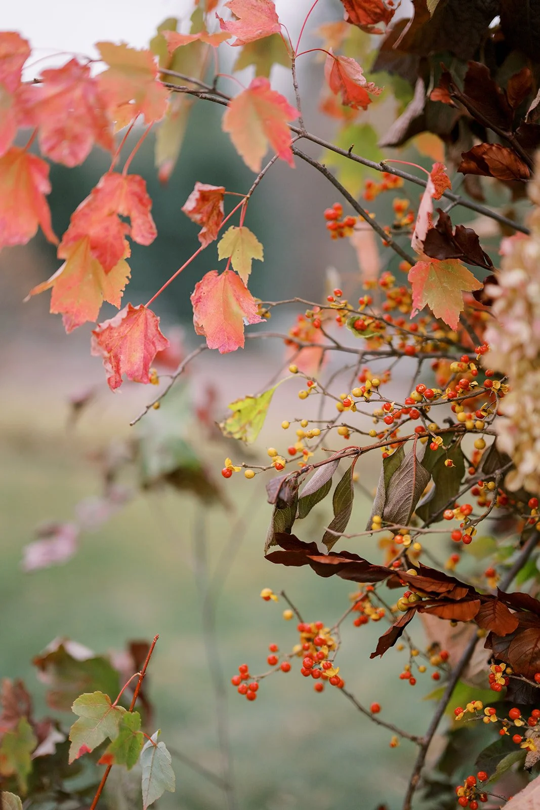 Fall — Steelcut Flower Co.