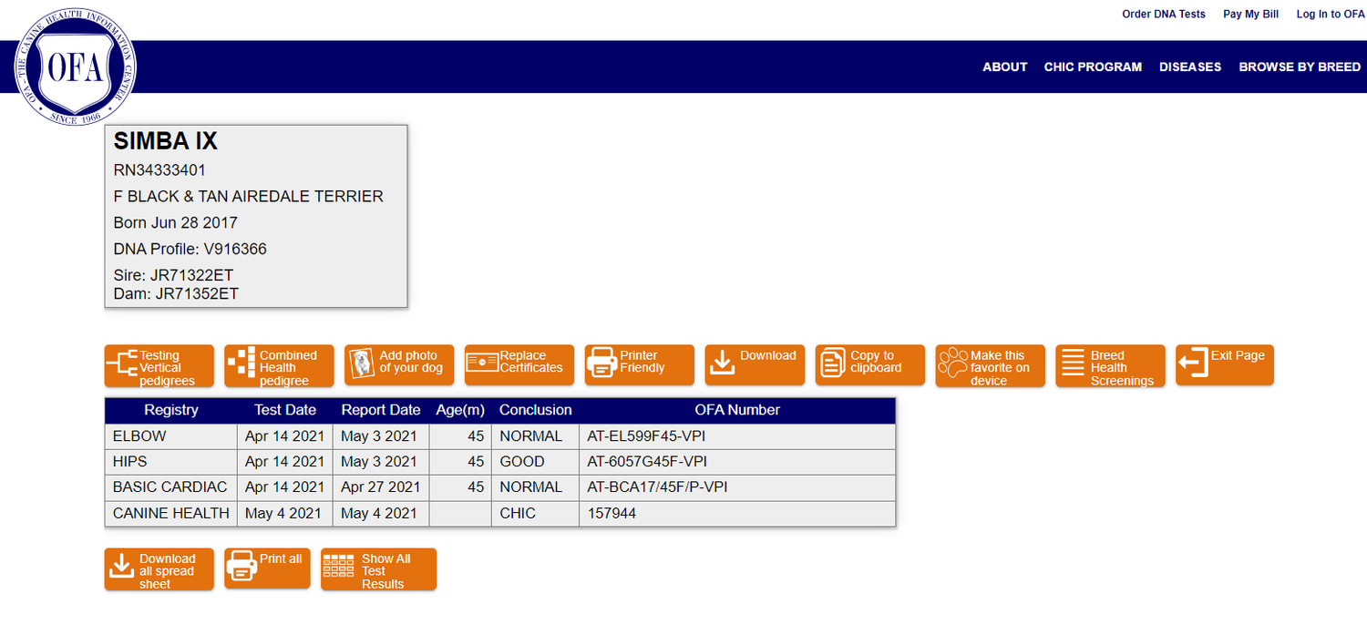 Our Airedales — DogwoodDales Airedale Terriers of Texas