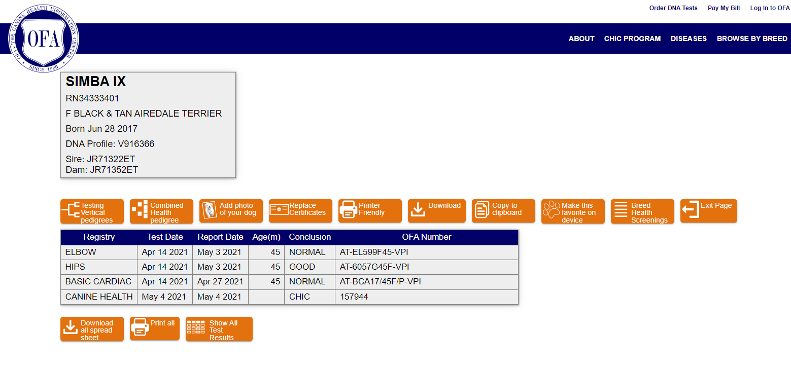 Our Airedales — DogwoodDales Airedale Terriers of Texas