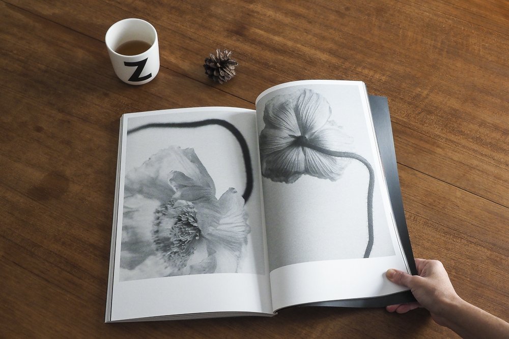 Publication of my series "Botanical form" — MICHIKO PICCO PHOTOGRAPHY