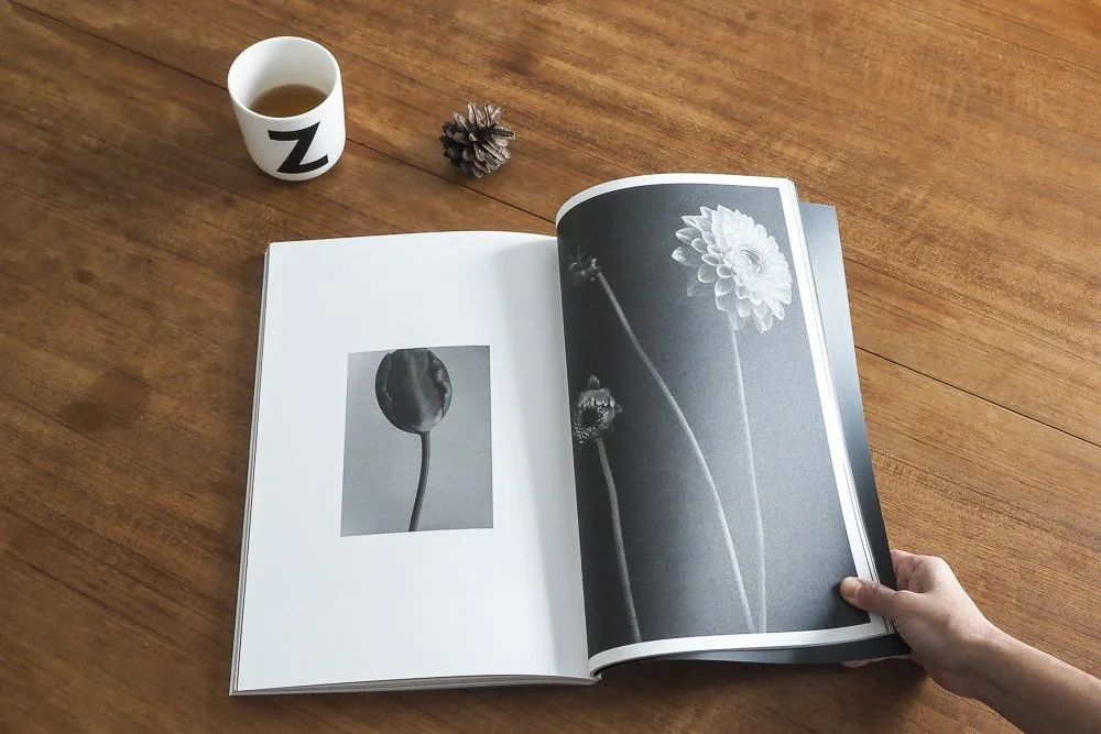 Publication of my series "Botanical form" — MICHIKO PICCO PHOTOGRAPHY