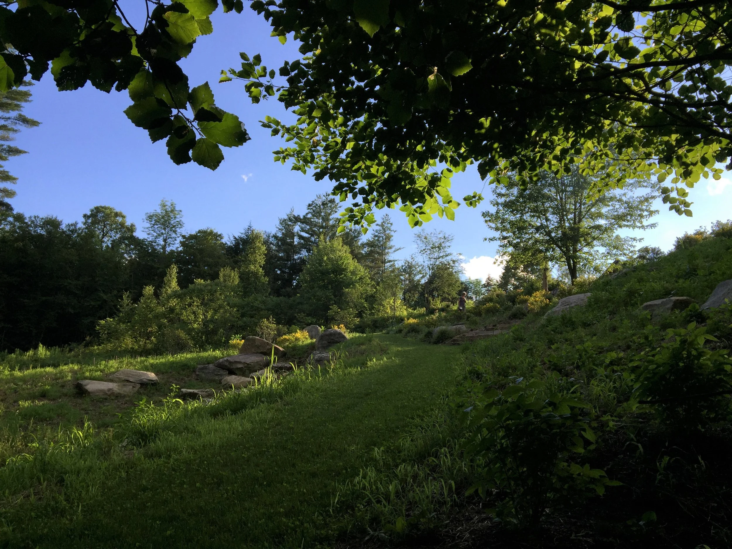 Vermont Backyard Wetlands Restoration | TERRIGENOUS | Vermont Landscape ...