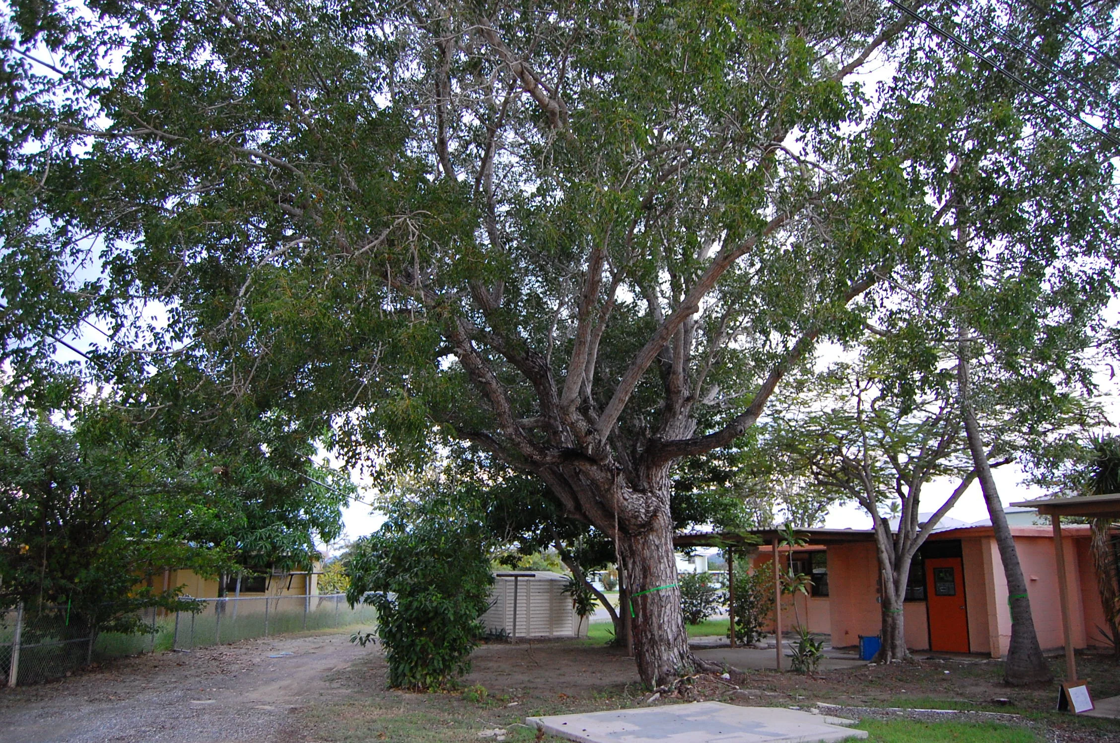 Projects — Pittman Landscape Architecture