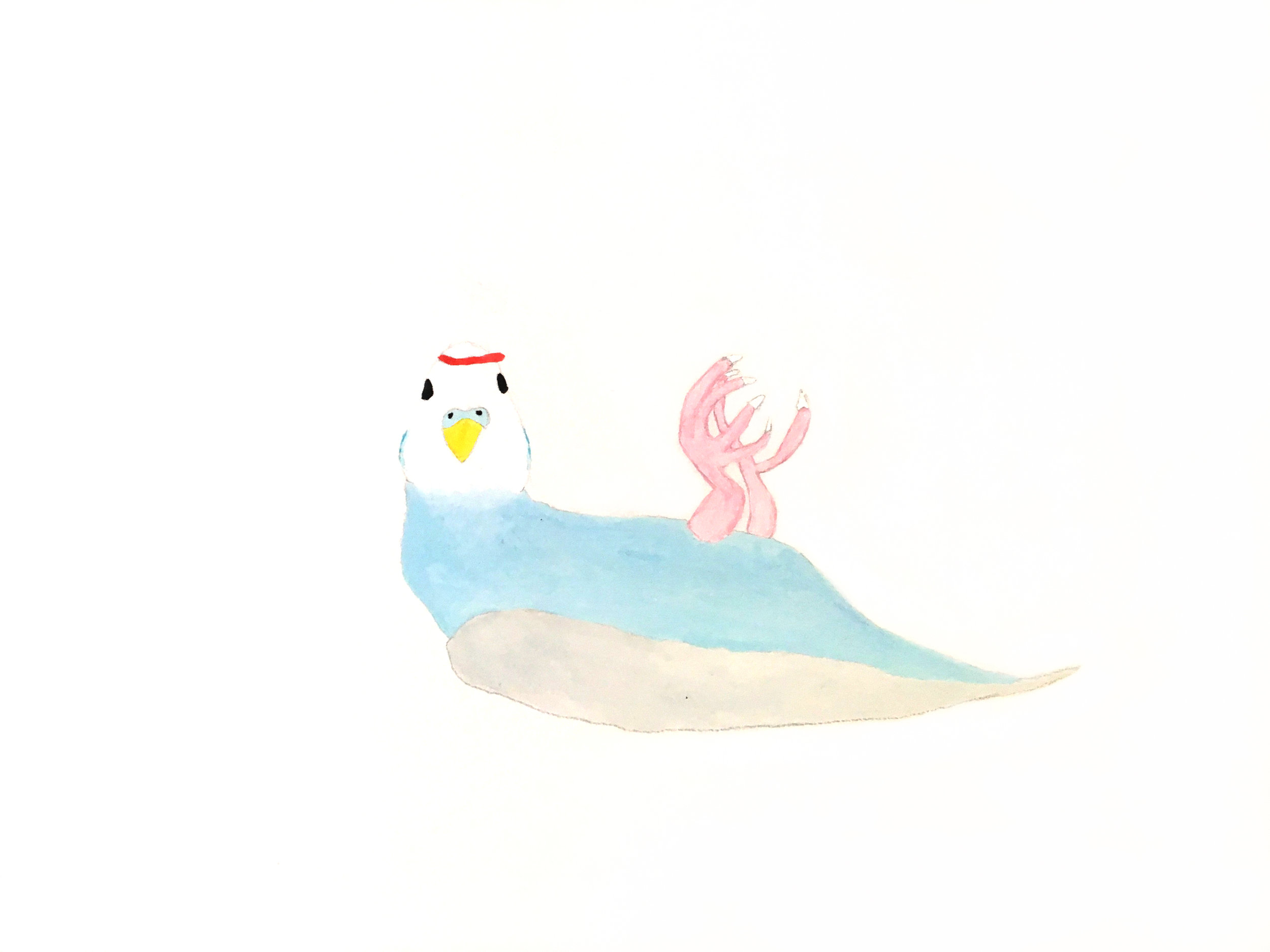 Drawing — Pip Ryan