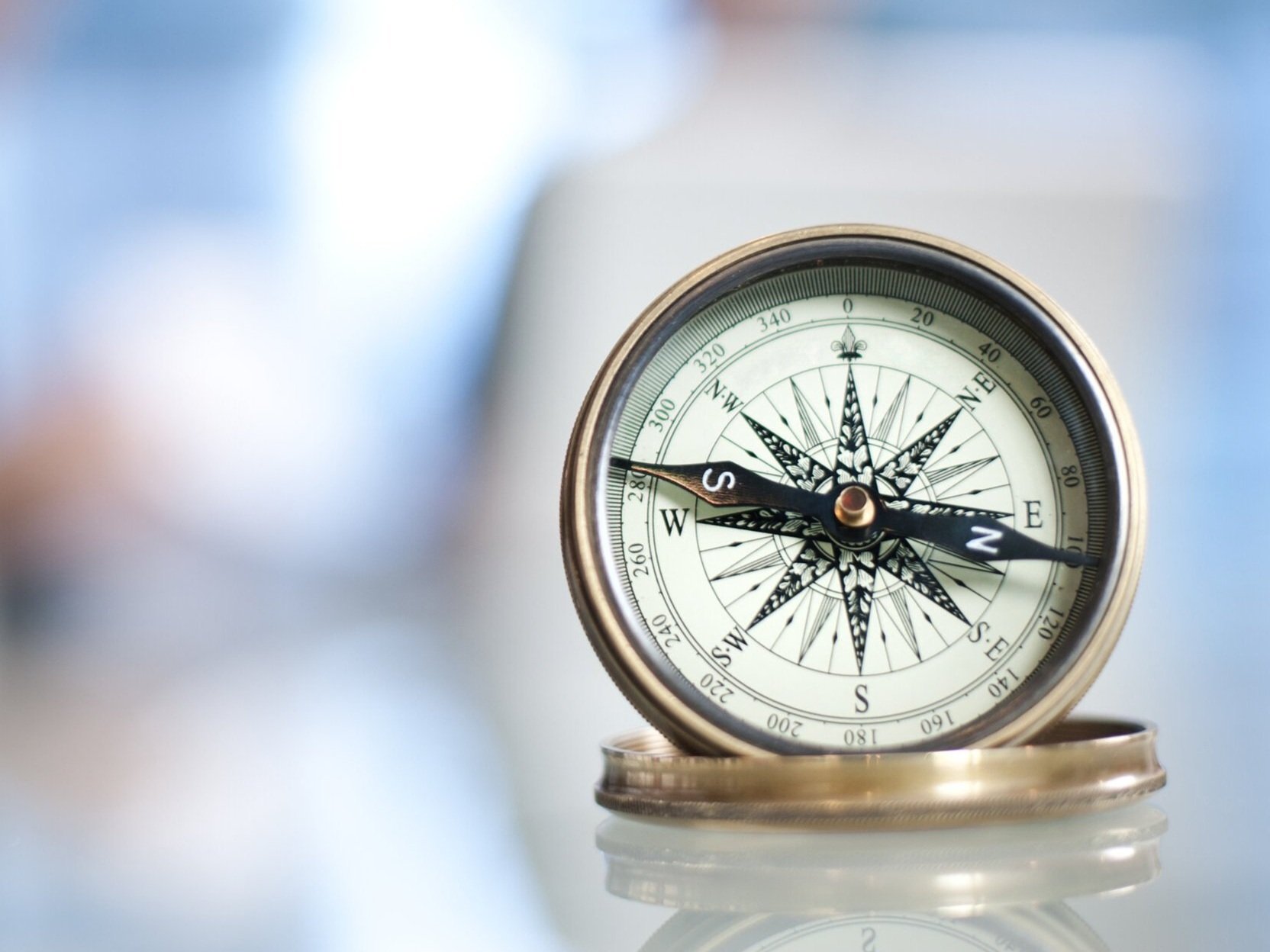 Capture Your Photos - Organize - Learn More - Professional Photo Manager