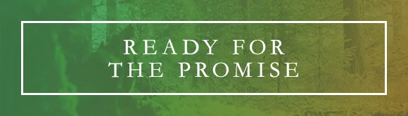 Ready for the Promise — Fire School Ministries