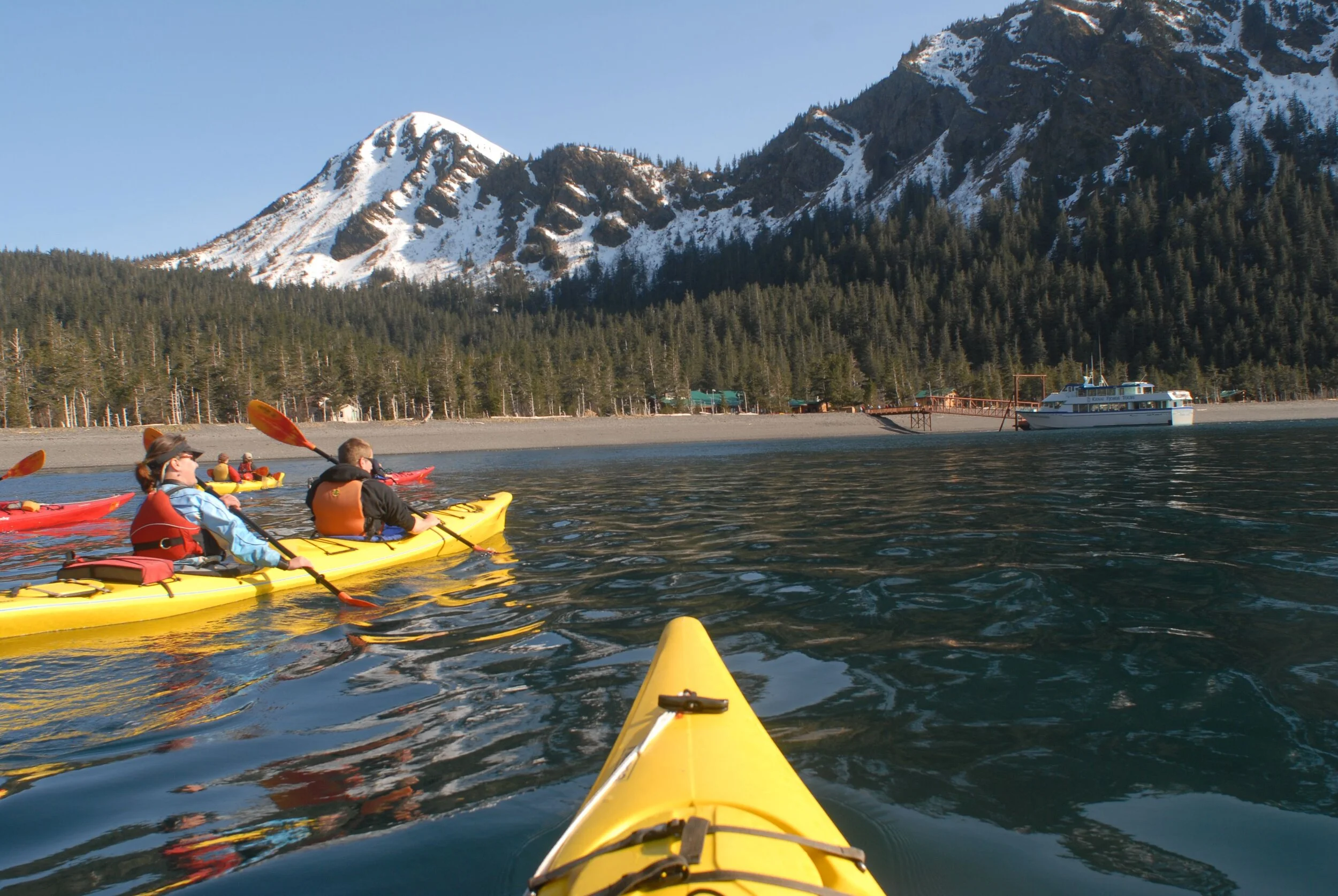 Sunny Cove - Kayaking, Hiking, Wildlife & Glacier Cruises - Seward, Alaska