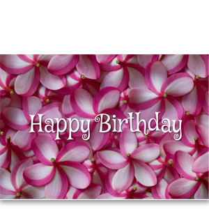 Pua melia (plumeria cluster) – Happy Birthday — ʻAlohi Images Maui