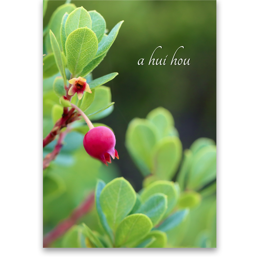 'Ohelo -- A hui hou (until we meet again) — ʻAlohi Images Maui