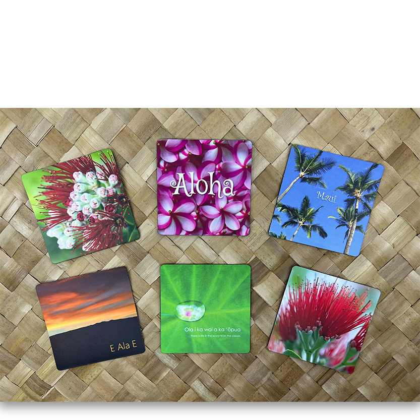 Island-inspired magnets — ʻAlohi Images Maui