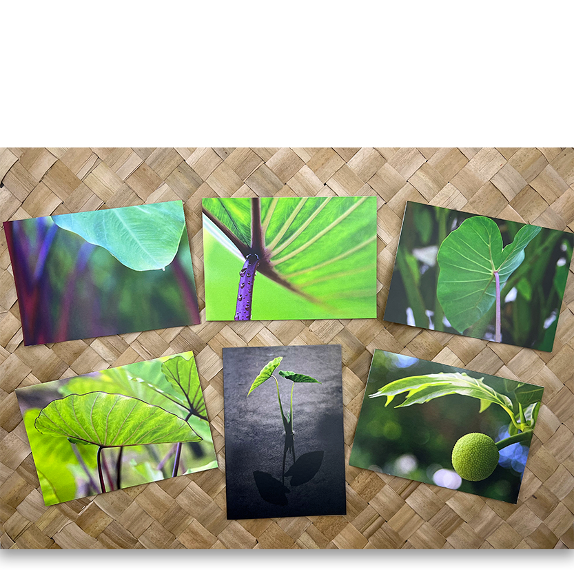 Kalo Variety Set — ʻAlohi Images Maui