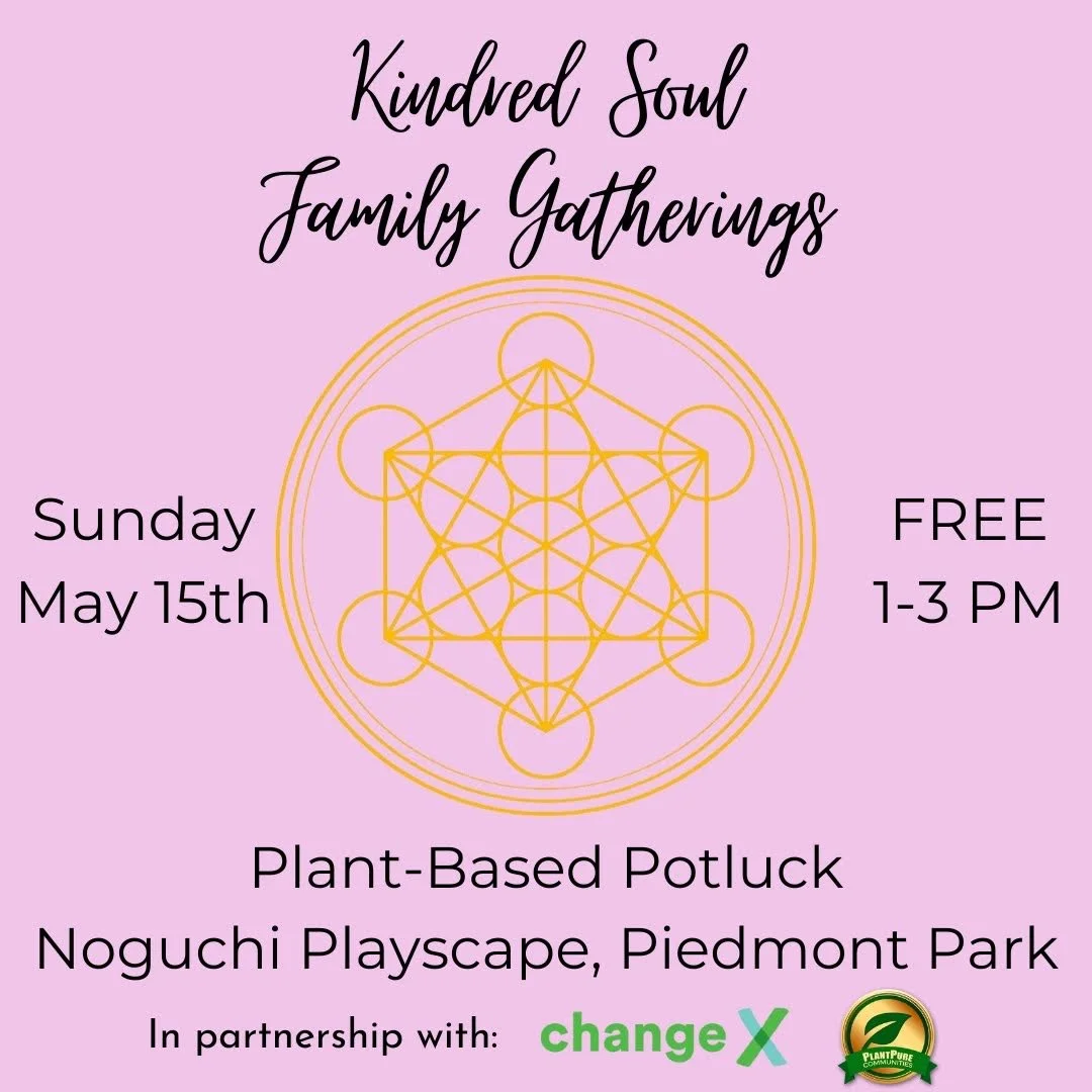 Blog — Debra Mazer