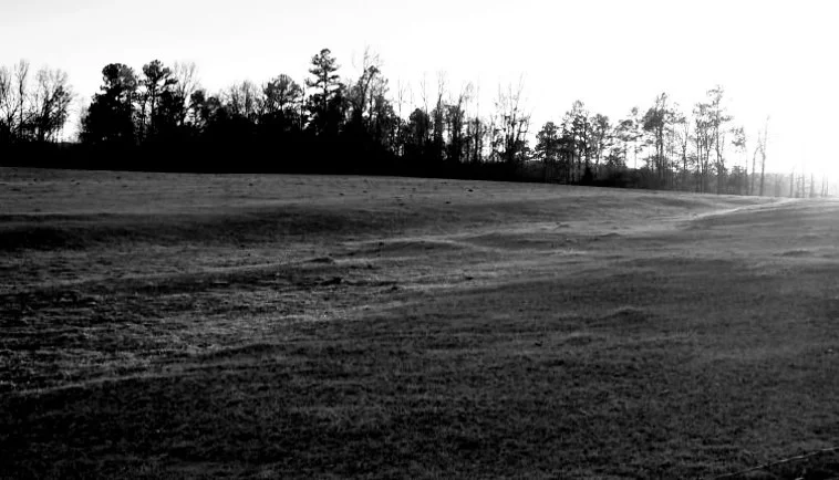 Trammel's Trace