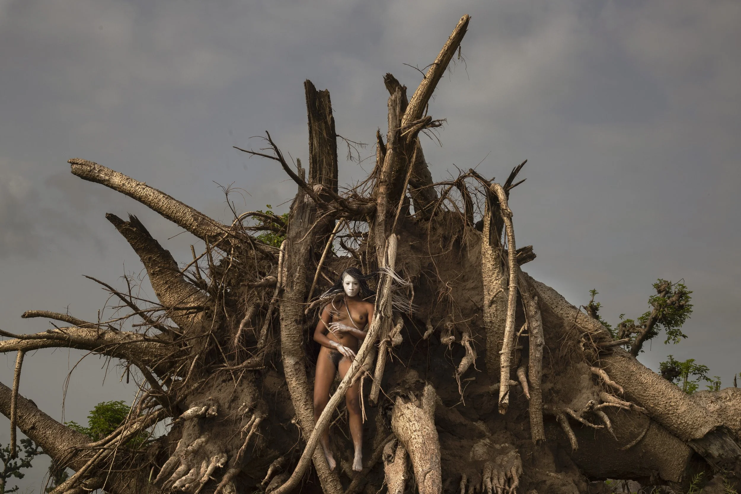 Sophia Nahli Allison | Filmmaker + Artist