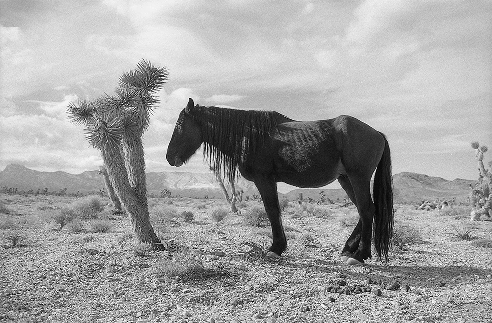 Kevin Russ Western Art Prints | Western Art | Landscape Photography of ...