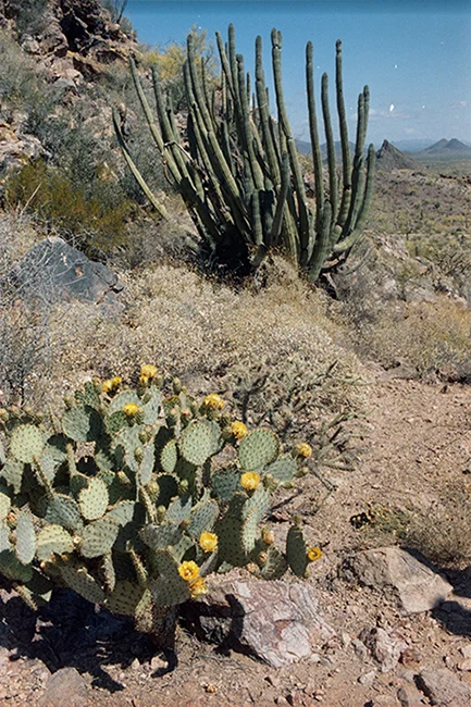 Kevin Russ Western Art Prints | Western Art | Landscape Photography of ...