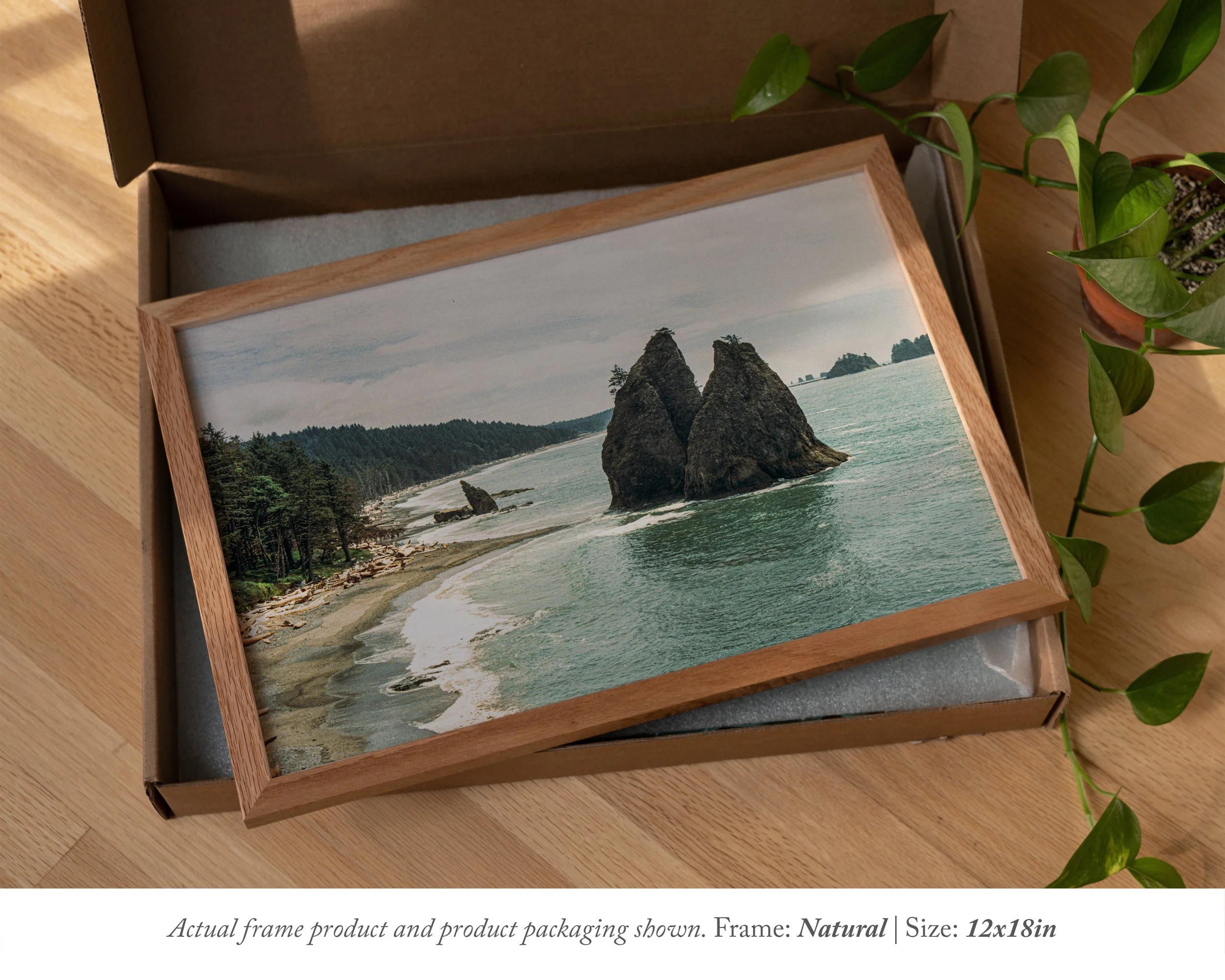 Pacific Northwest Sea Stacks Washington Photography PNW Art Pacific ...