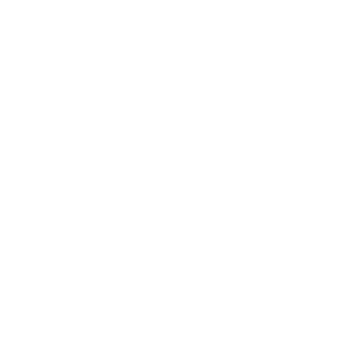 Salt & Iron