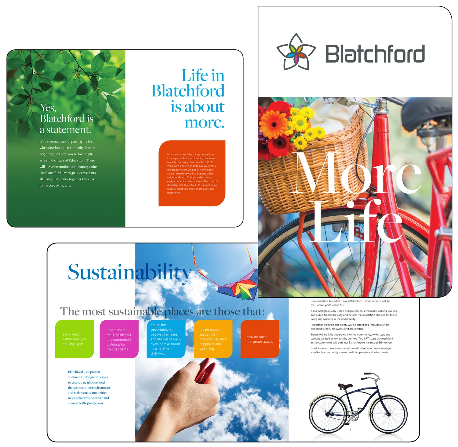 Blatchford Logo — HALKIER + DUTTON DESIGN