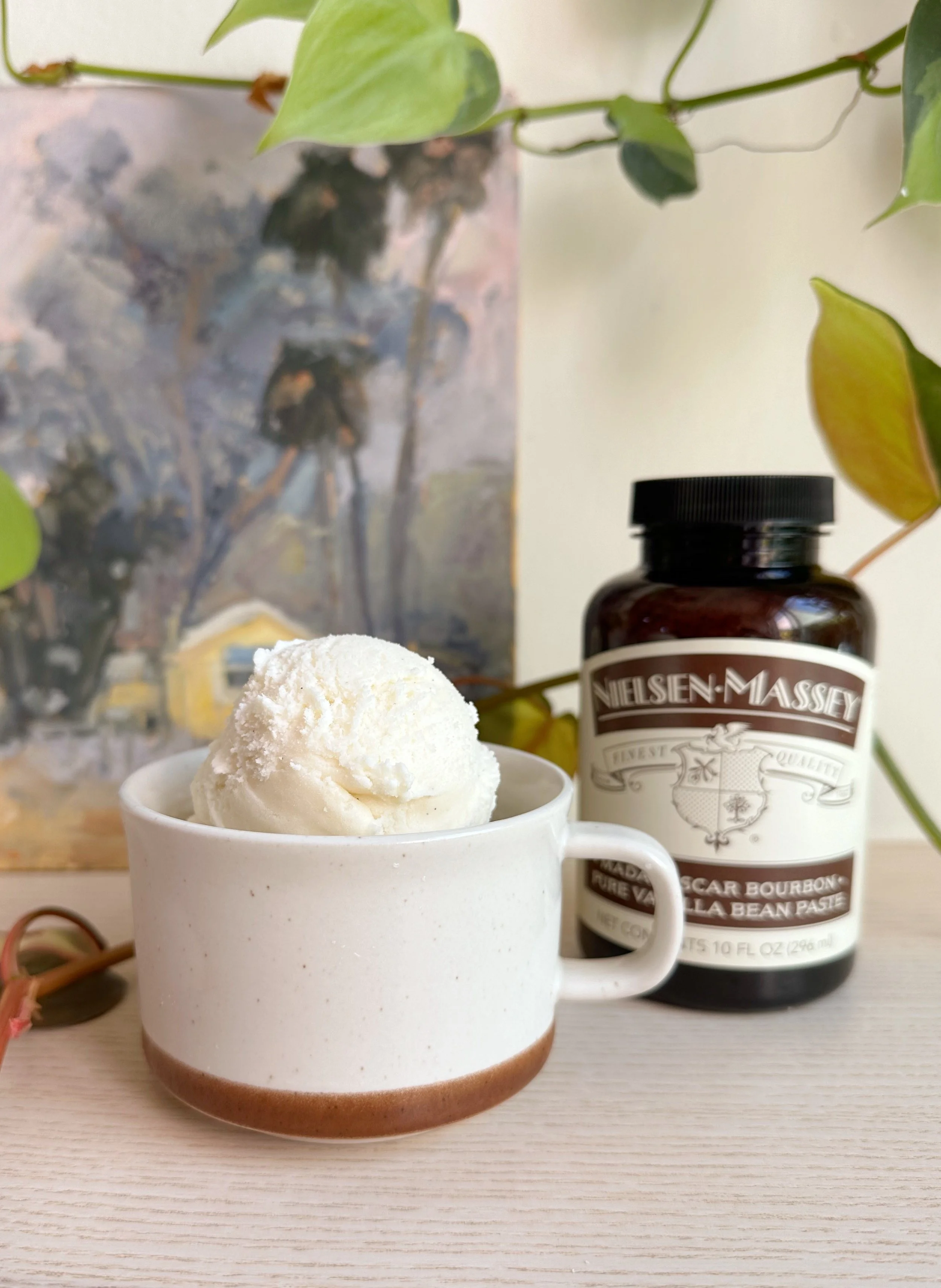Easy Homemade Vanilla Bean Ice Cream | Natural, No-Cook Recipe with 4 ...