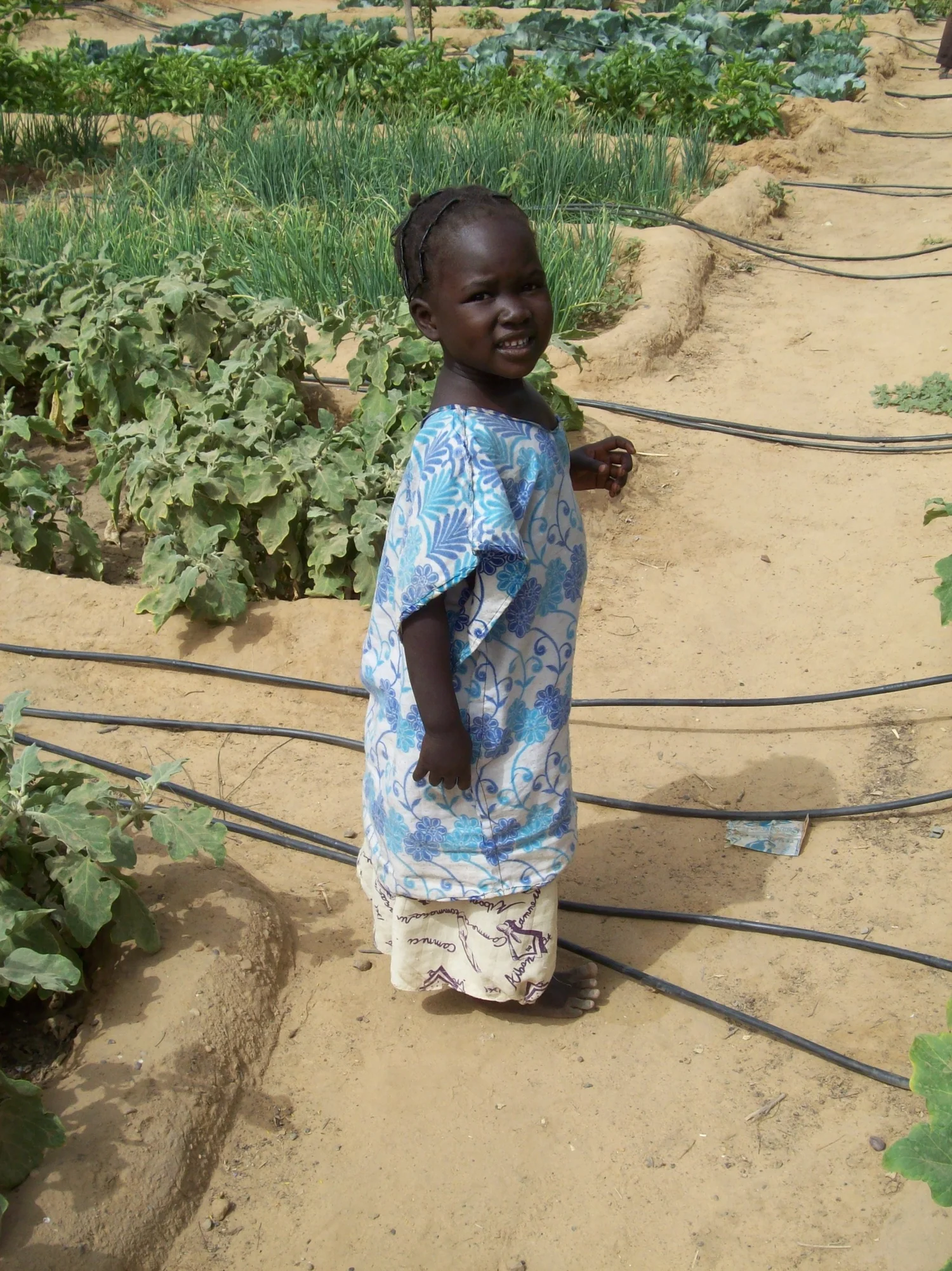 Photo Inspiration From Gardeners in West Africa — Daily Harvest Designs