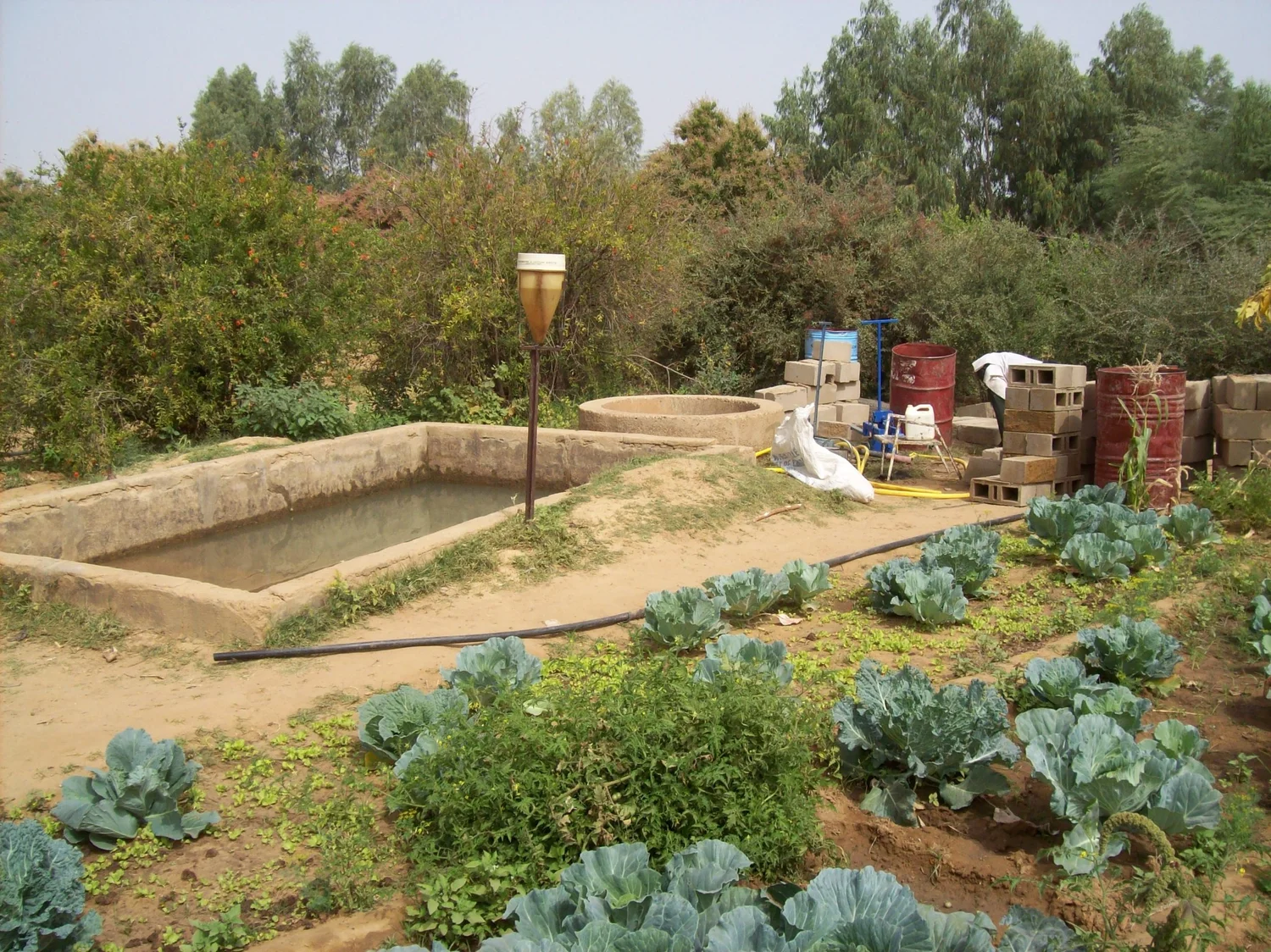 Photo Inspiration From Gardeners in West Africa — Daily Harvest Designs