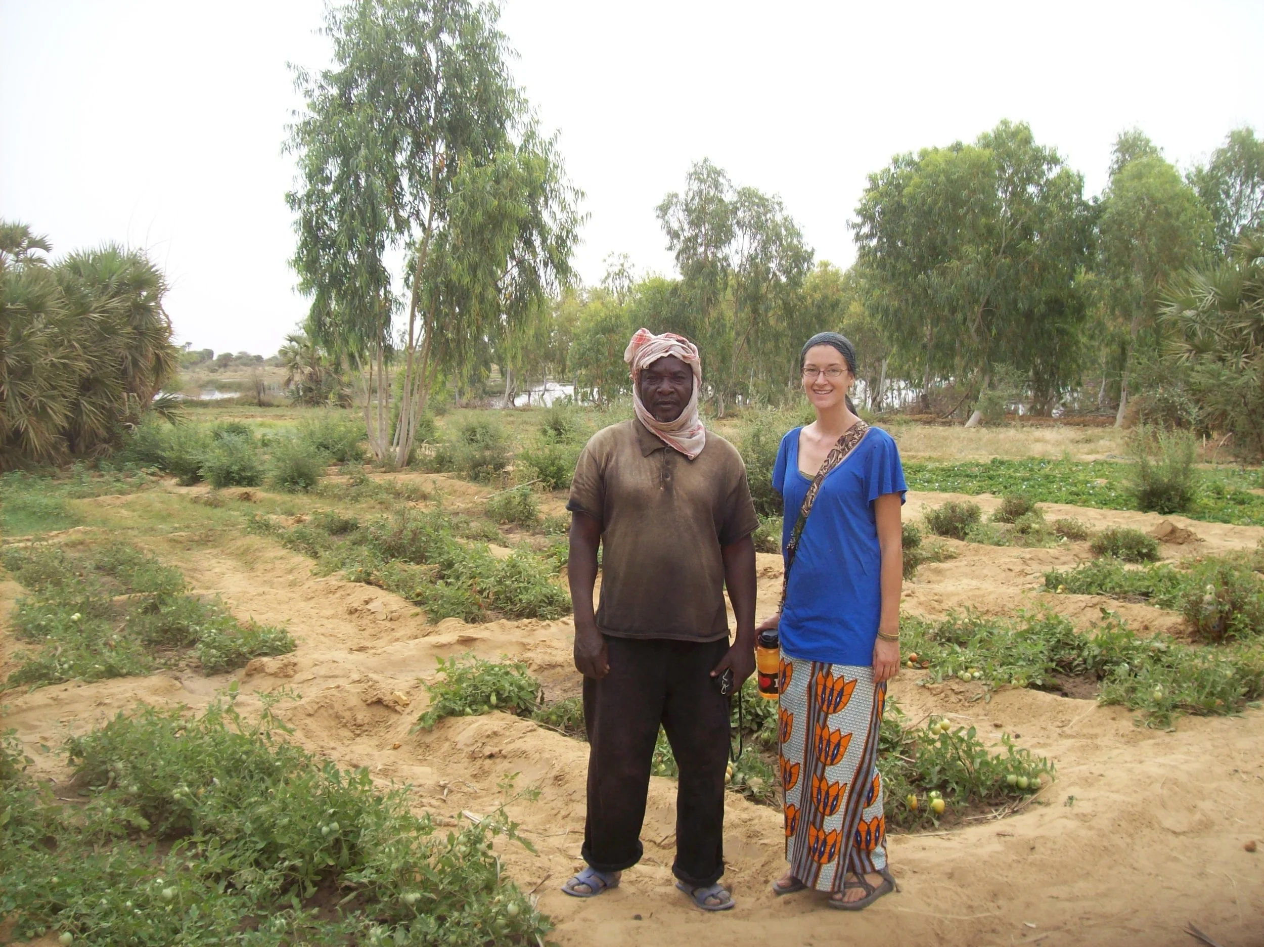Photo Inspiration From Gardeners in West Africa — Daily Harvest Designs ...