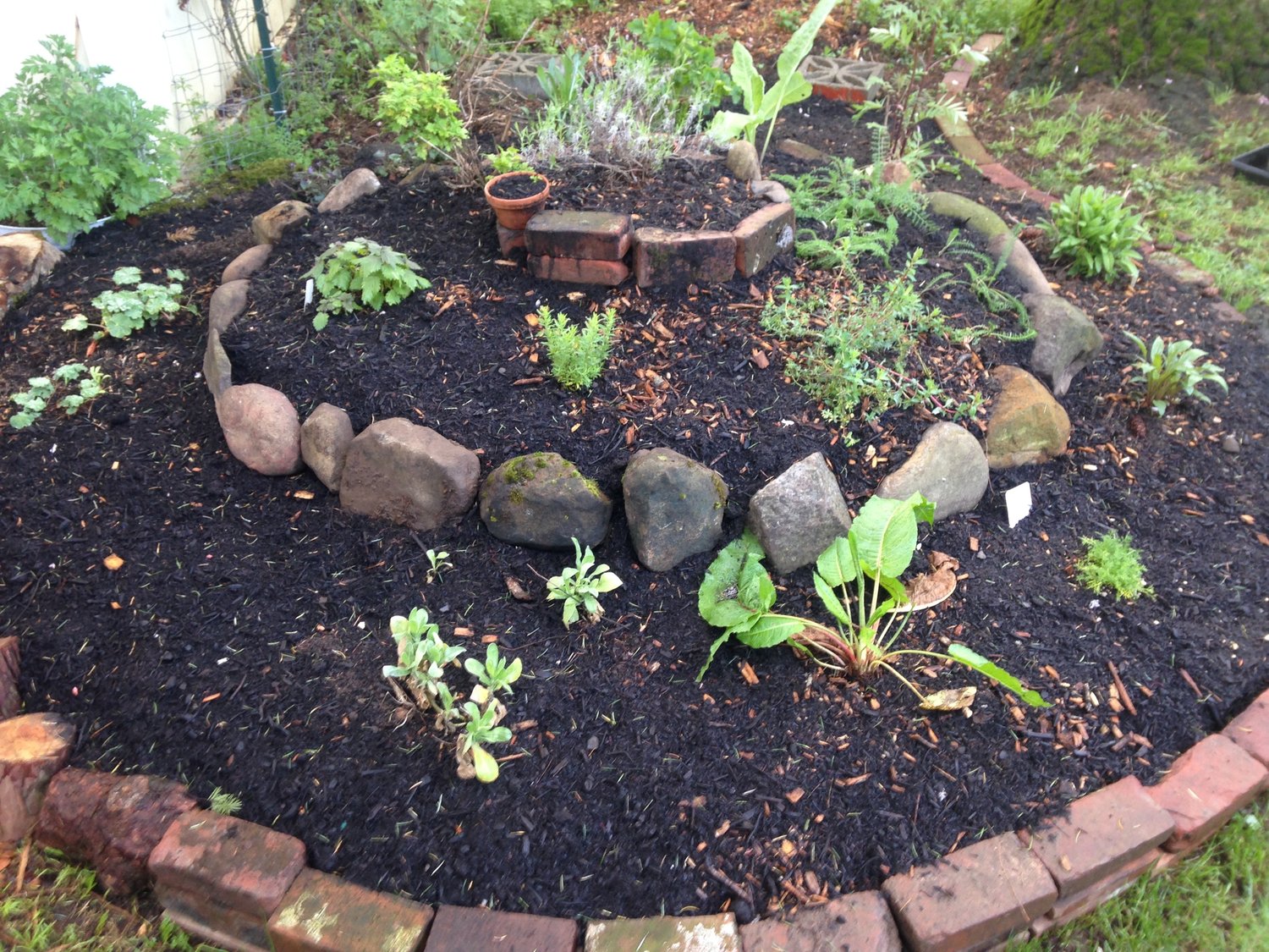 How to Build an Herb Spiral in Your Landscape — Daily Harvest Designs