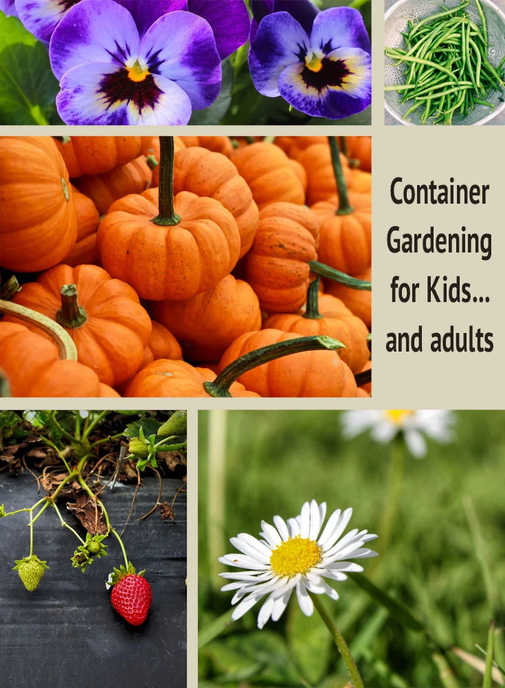 What Should You Plant in Your Edible Container Garden? — Daily Harvest ...