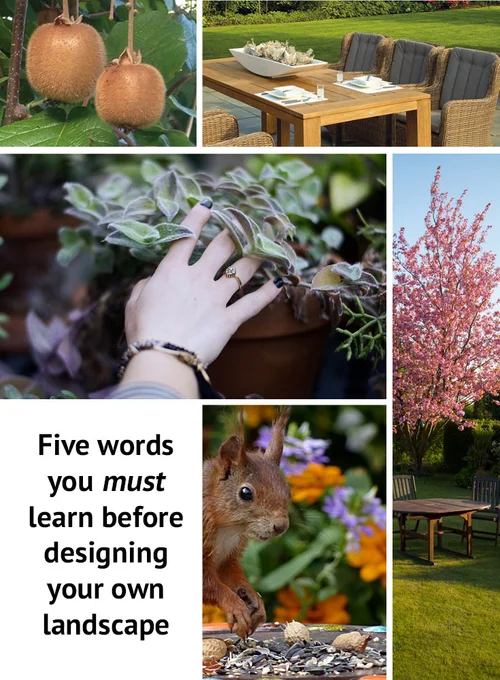 5 Words You Need to Know Before Designing Your Landscape — Daily ...