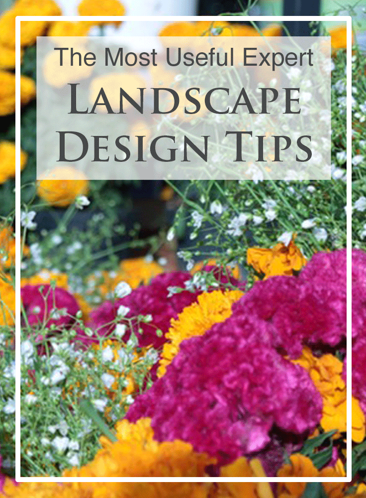 Introducing the Most Useful Expert Landscape Design Tips — Daily ...
