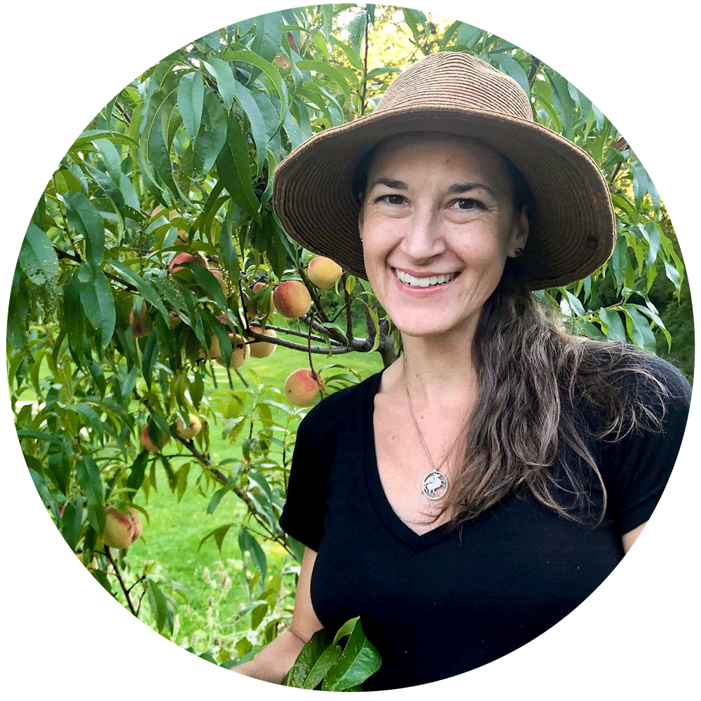 Curating Plant Palettes: A Guide to Thriving Garden Collections — Daily ...