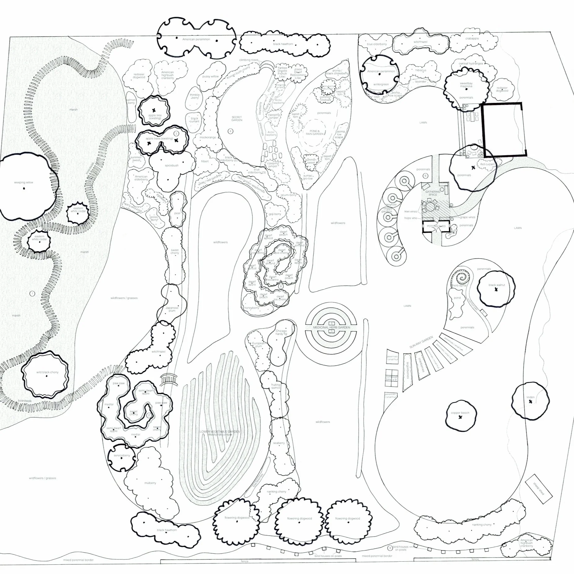 Landscape Plan Black And White