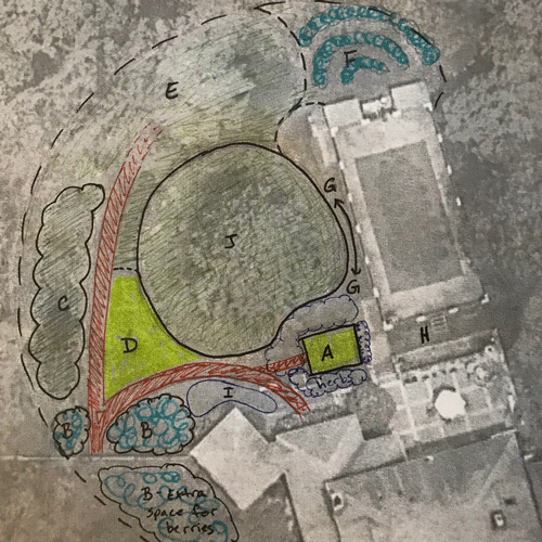 Design Packages — Daily Harvest Designs