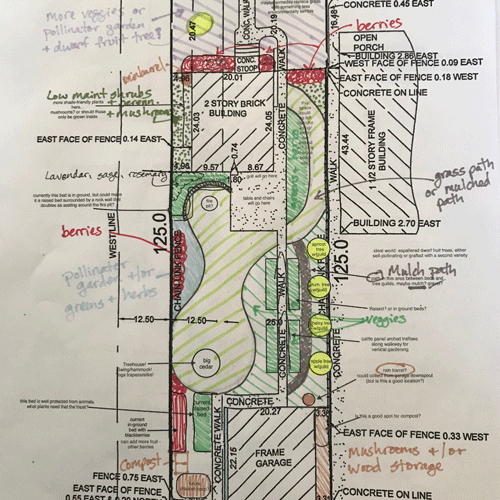 Design Packages — Daily Harvest Designs