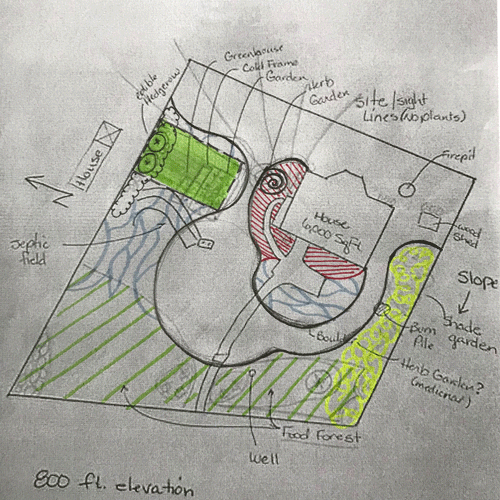 Design Packages — Daily Harvest Designs