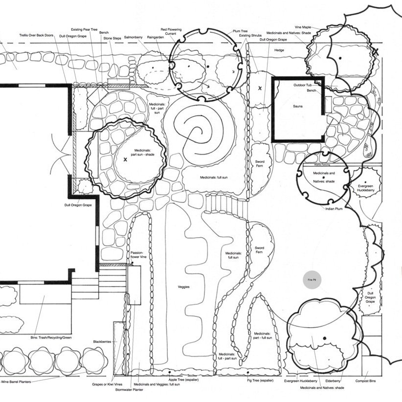 Design Packages — Daily Harvest Designs