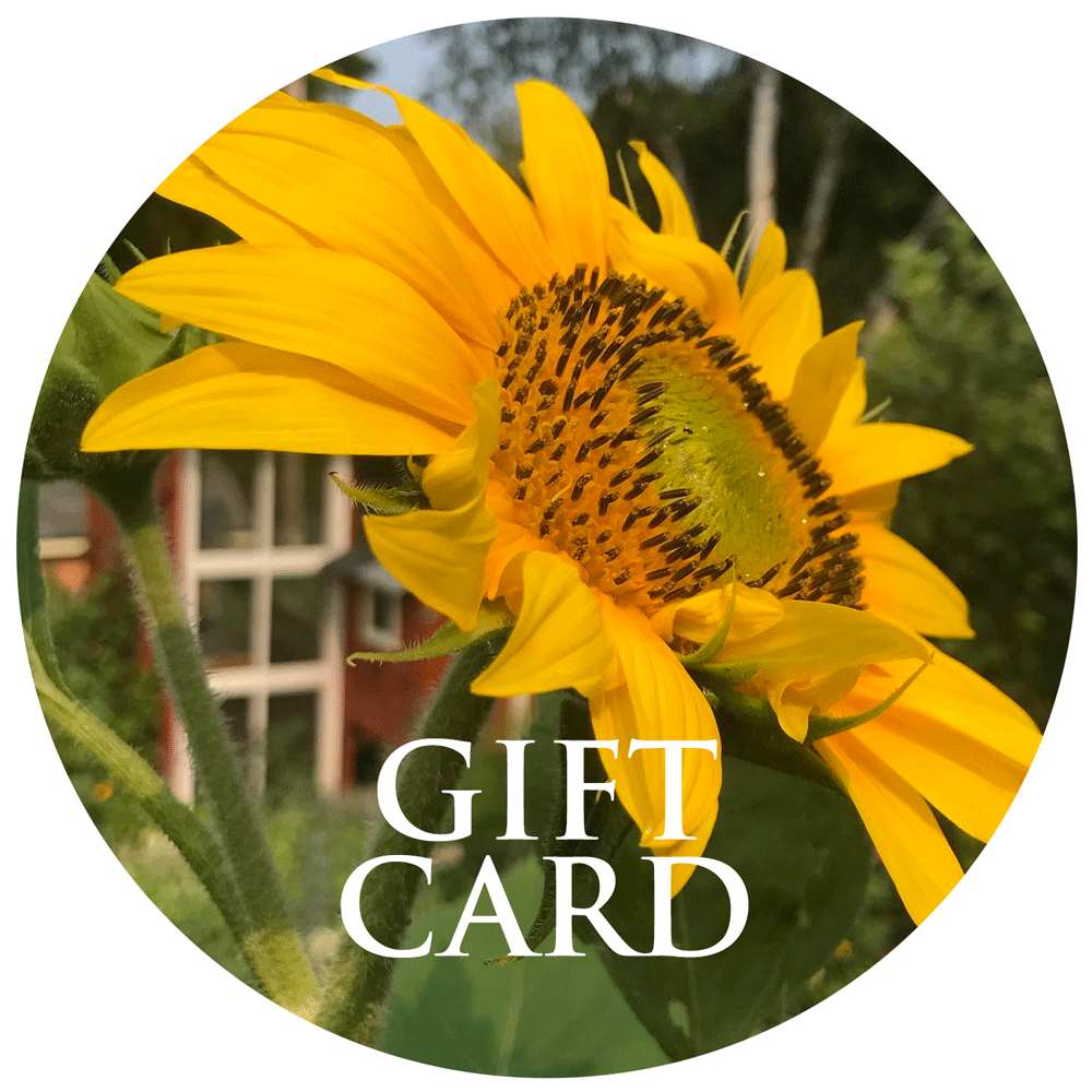 Gift Card Designs Templates