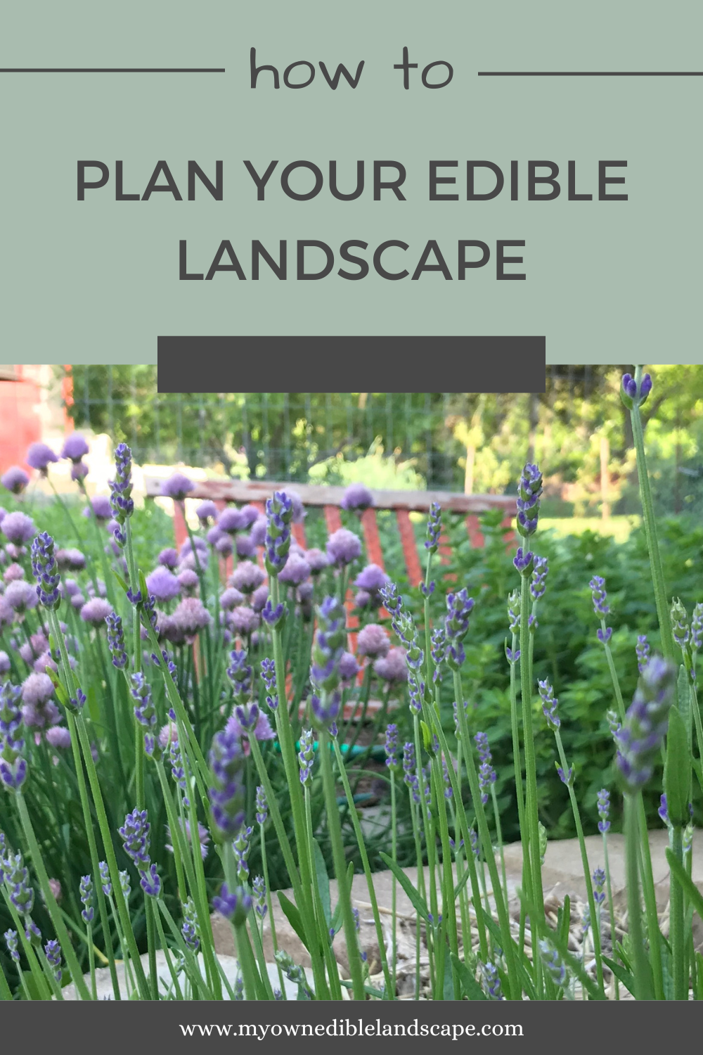 Do It Yourself Landscape Design Online — Daily Harvest Designs
