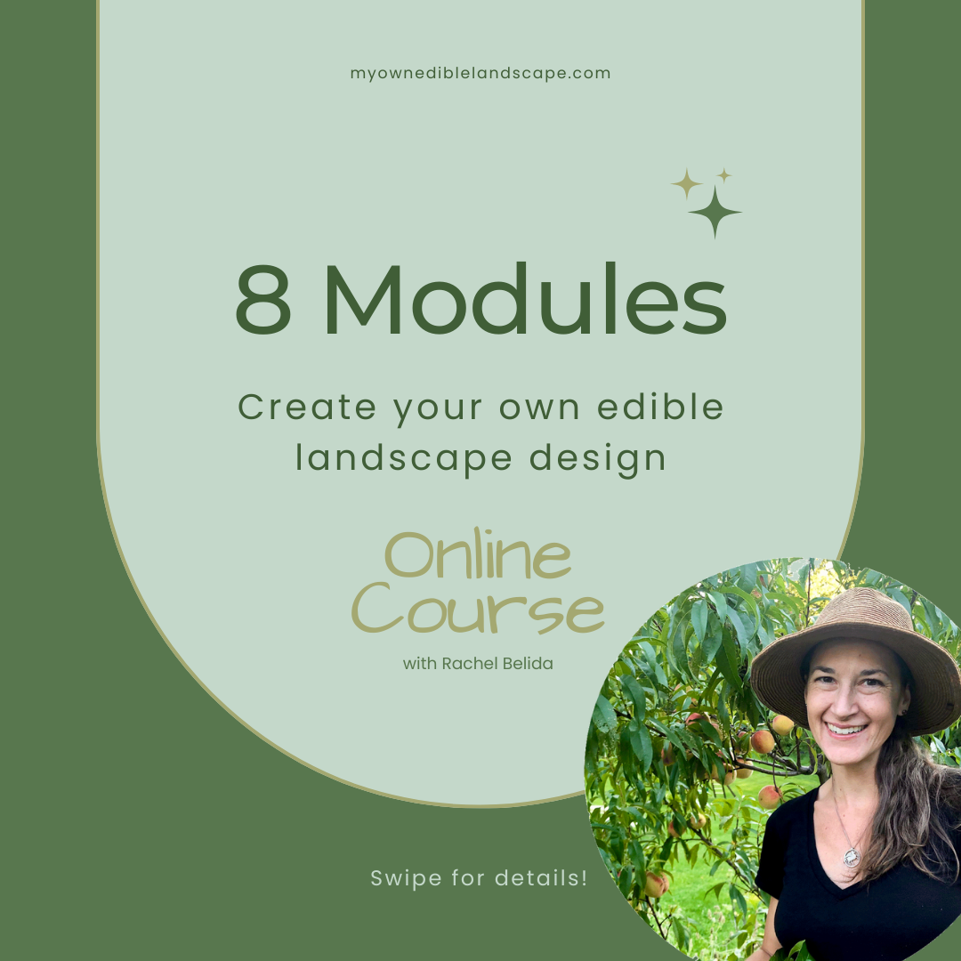 Do It Yourself Landscape Design Online — Daily Harvest Designs