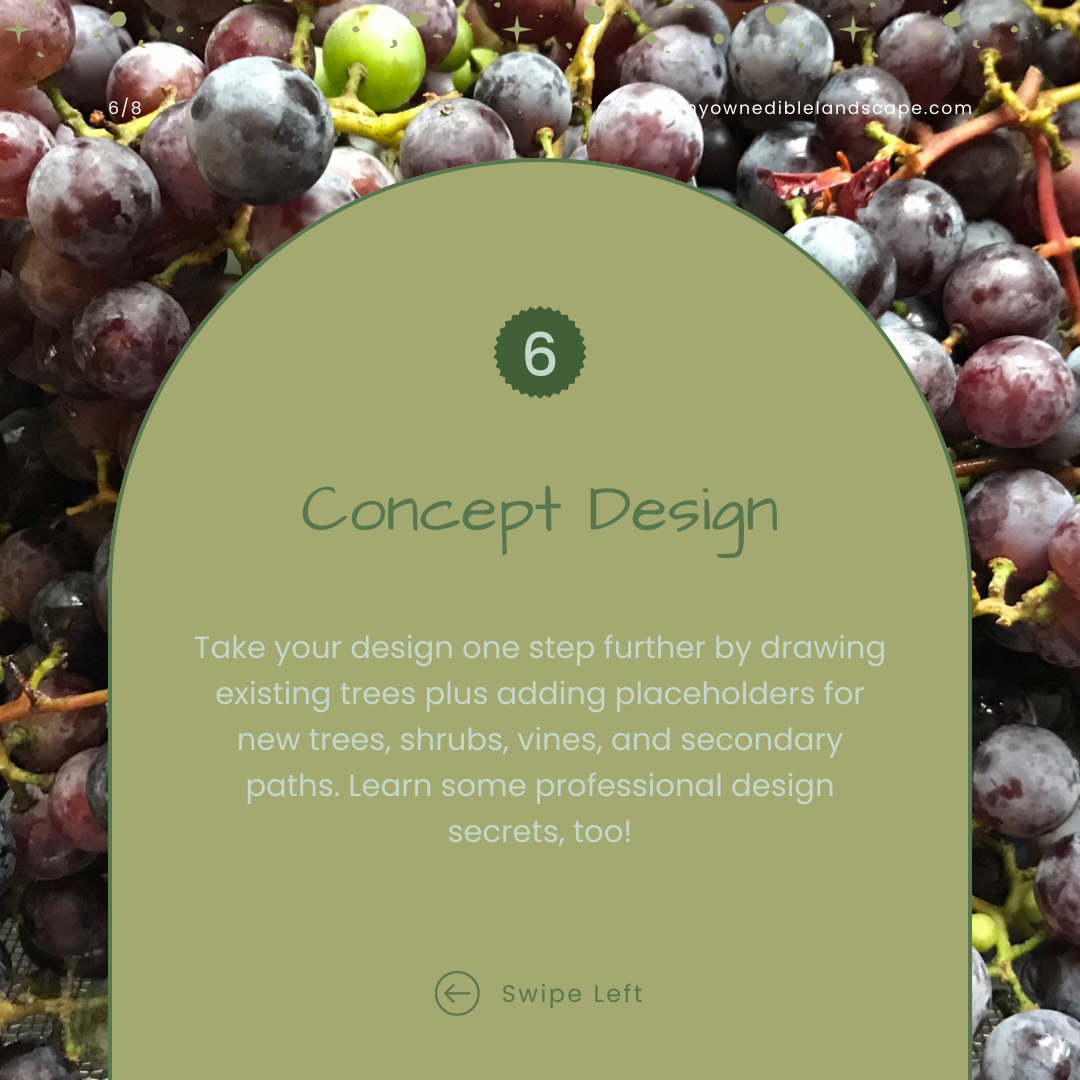 Do It Yourself Landscape Design Online — Daily Harvest Designs