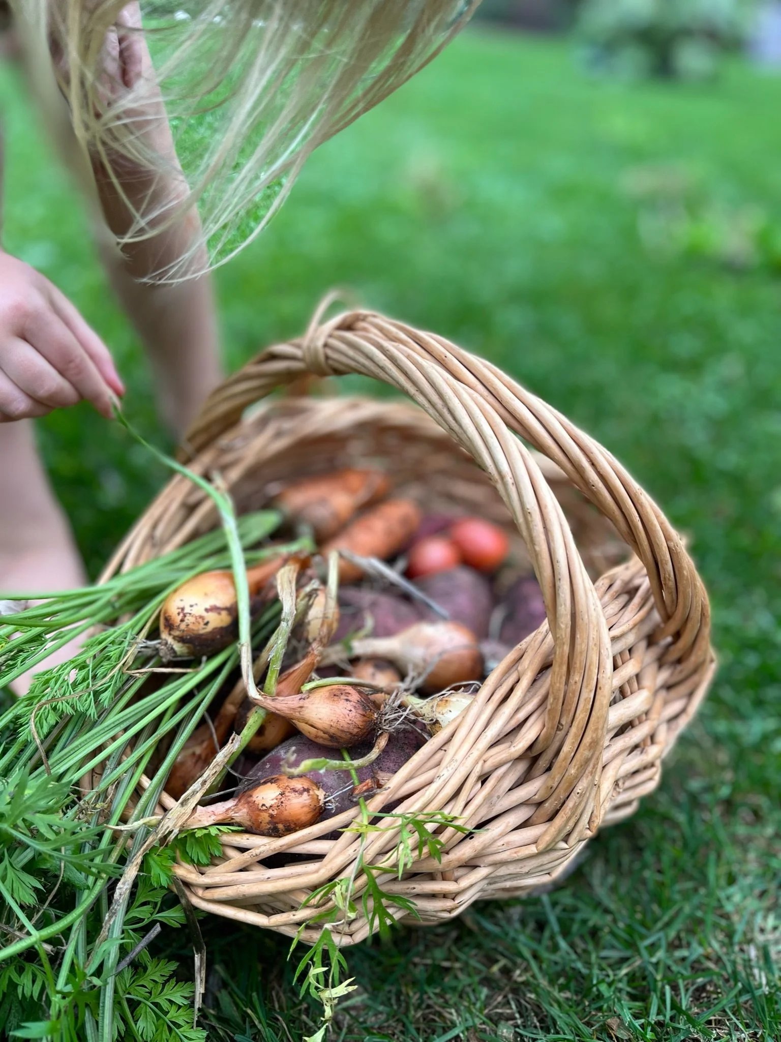 How To Design An Edible Hedgerow For Your Homestead — Daily Harvest Designs