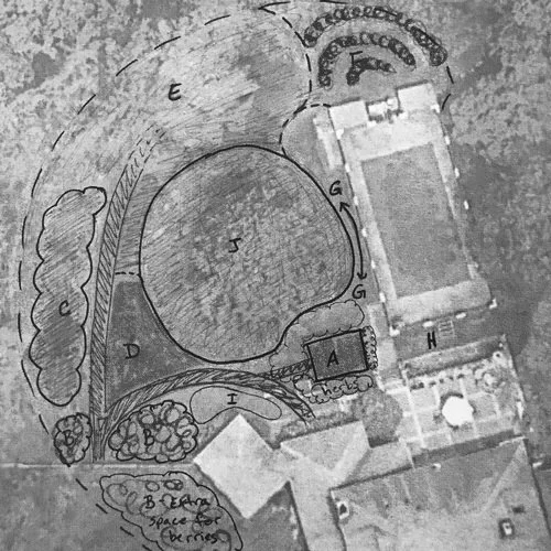 Quick Layout Sketch — Daily Harvest Designs