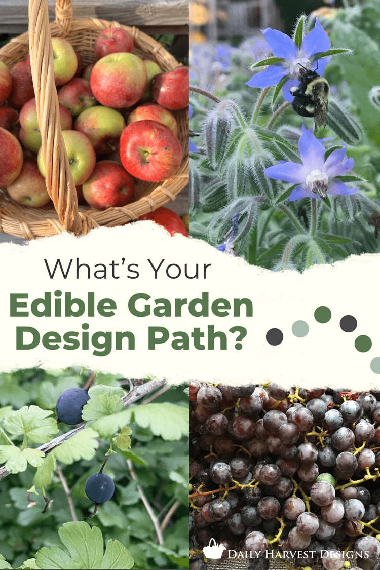 Curating Plant Palettes: A Guide to Thriving Garden Collections — Daily ...